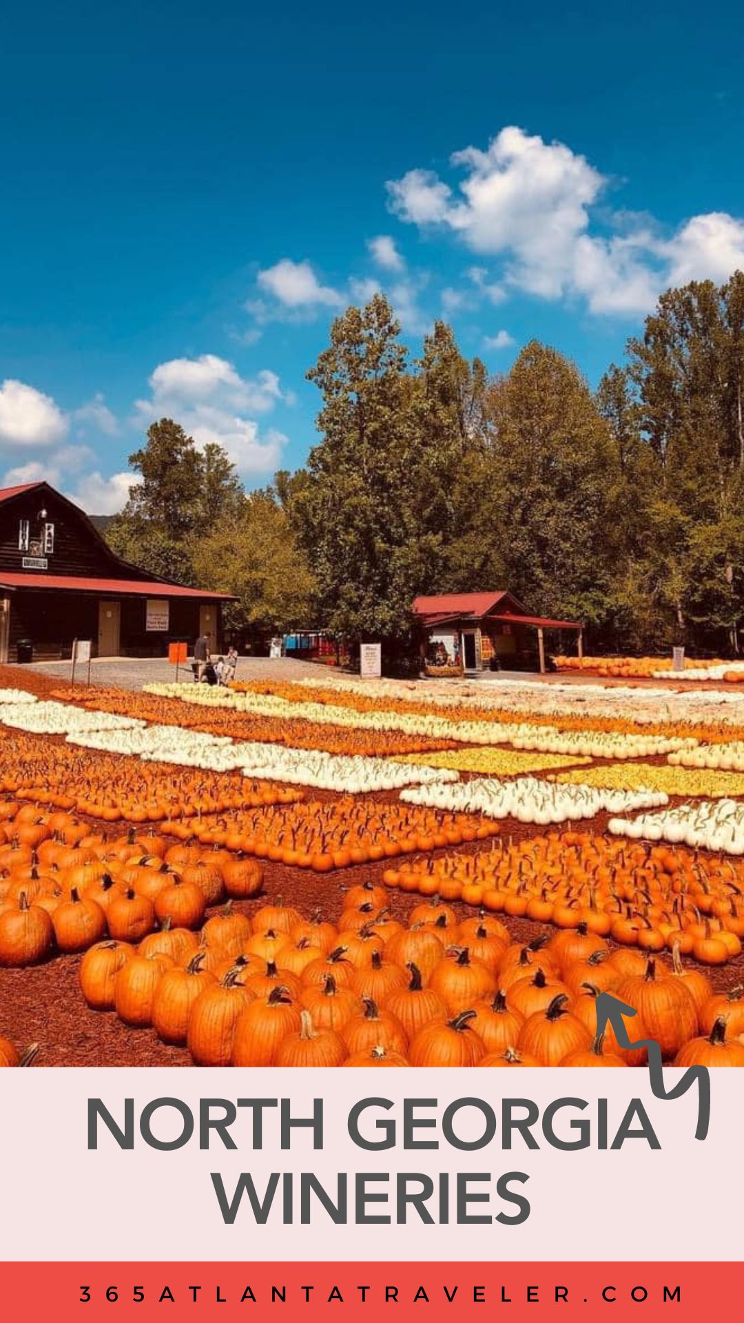 Fall in Atlanta: 45+ Freaking Fabulous Ways to Cozy Up This Fall (2024)