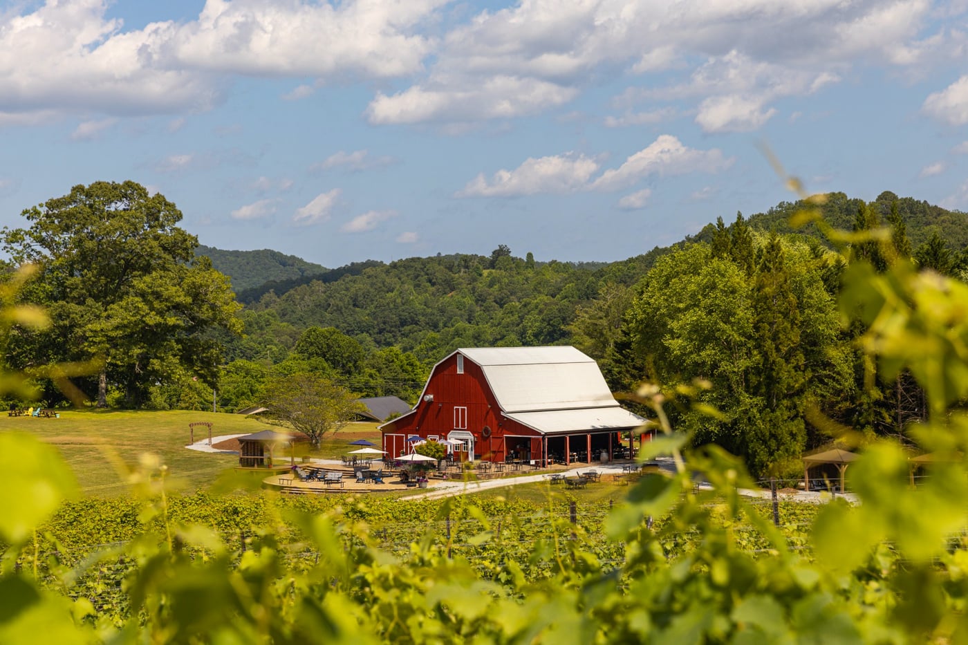 13+ Sensational North Georgia Wineries Begging You To Indulge