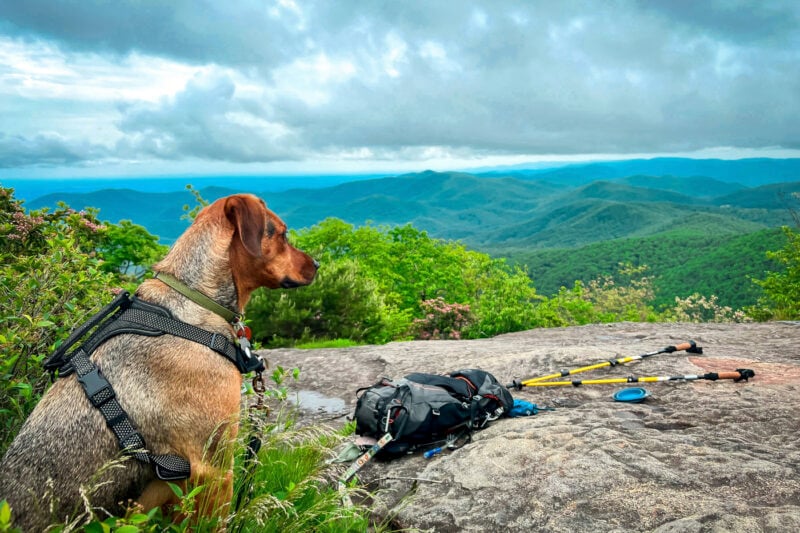 10 Most Popular Hikes in Georgia Outside of the State Parks
